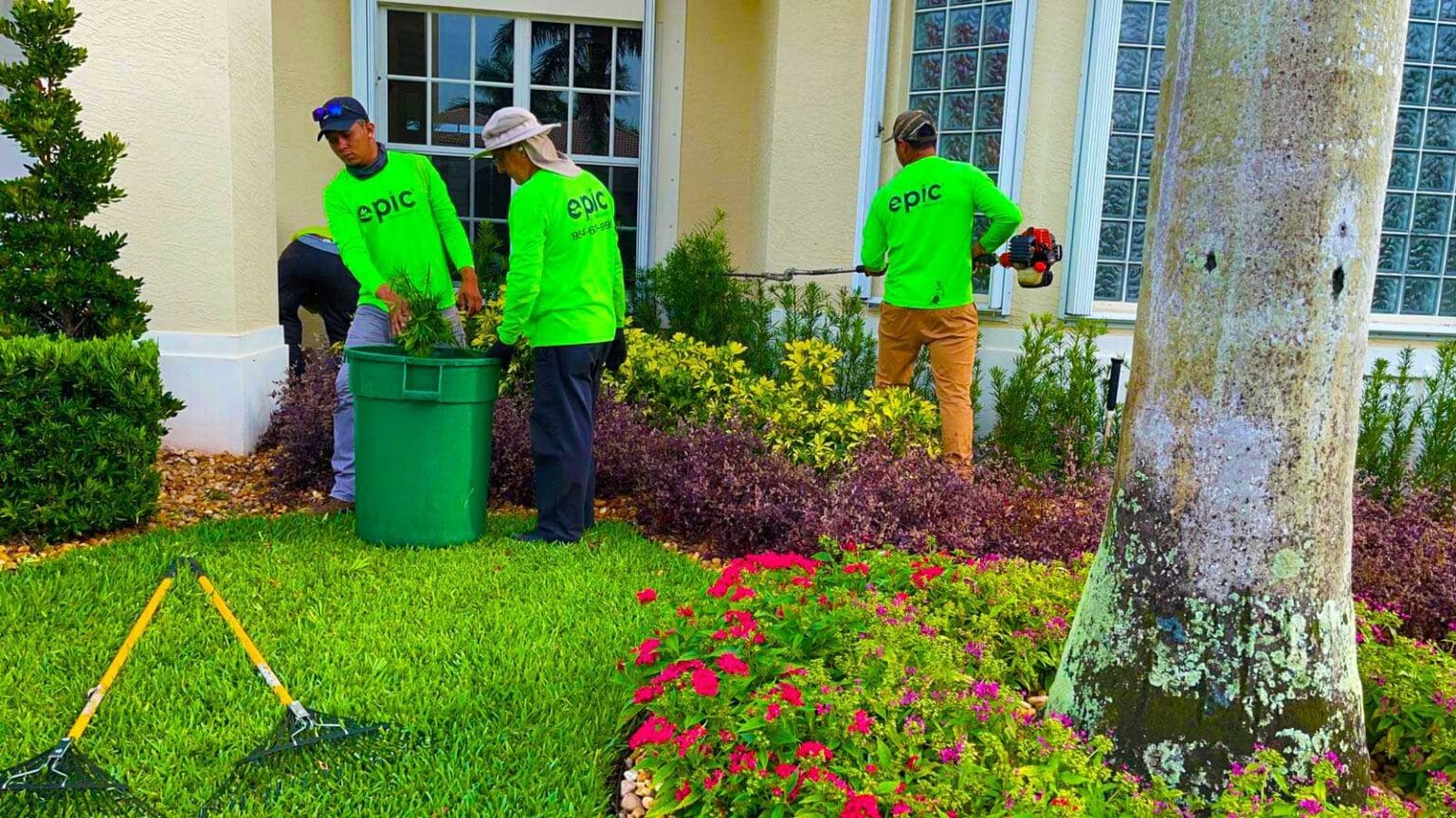 Lawn Service - EPIC Landscaping