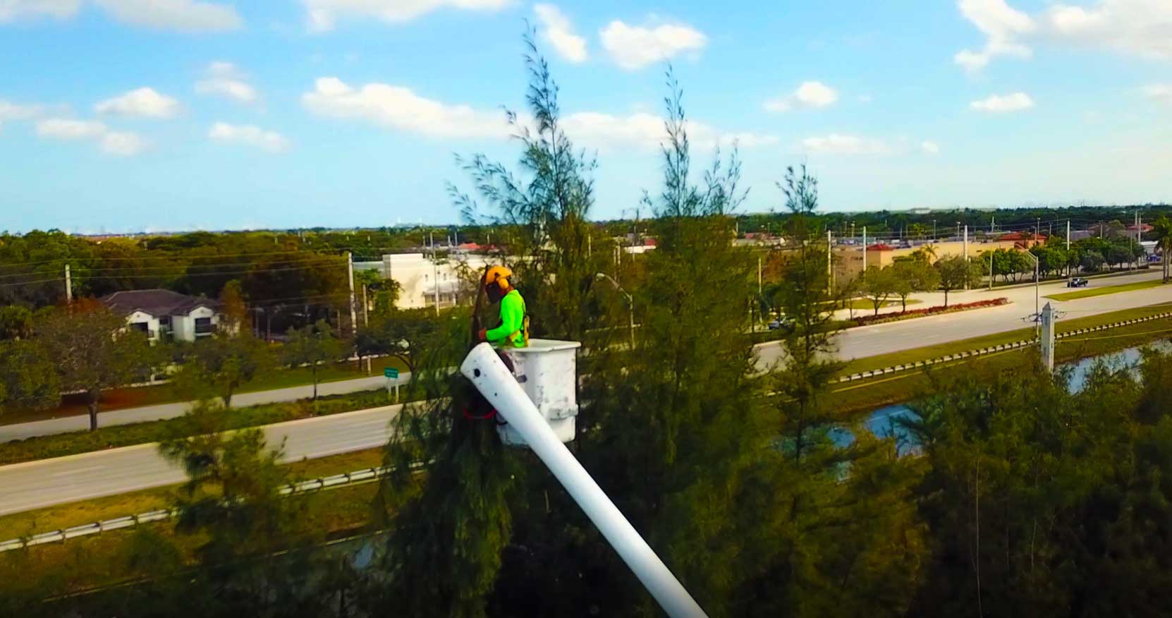 Tree Trimming - EPIC Landscaping