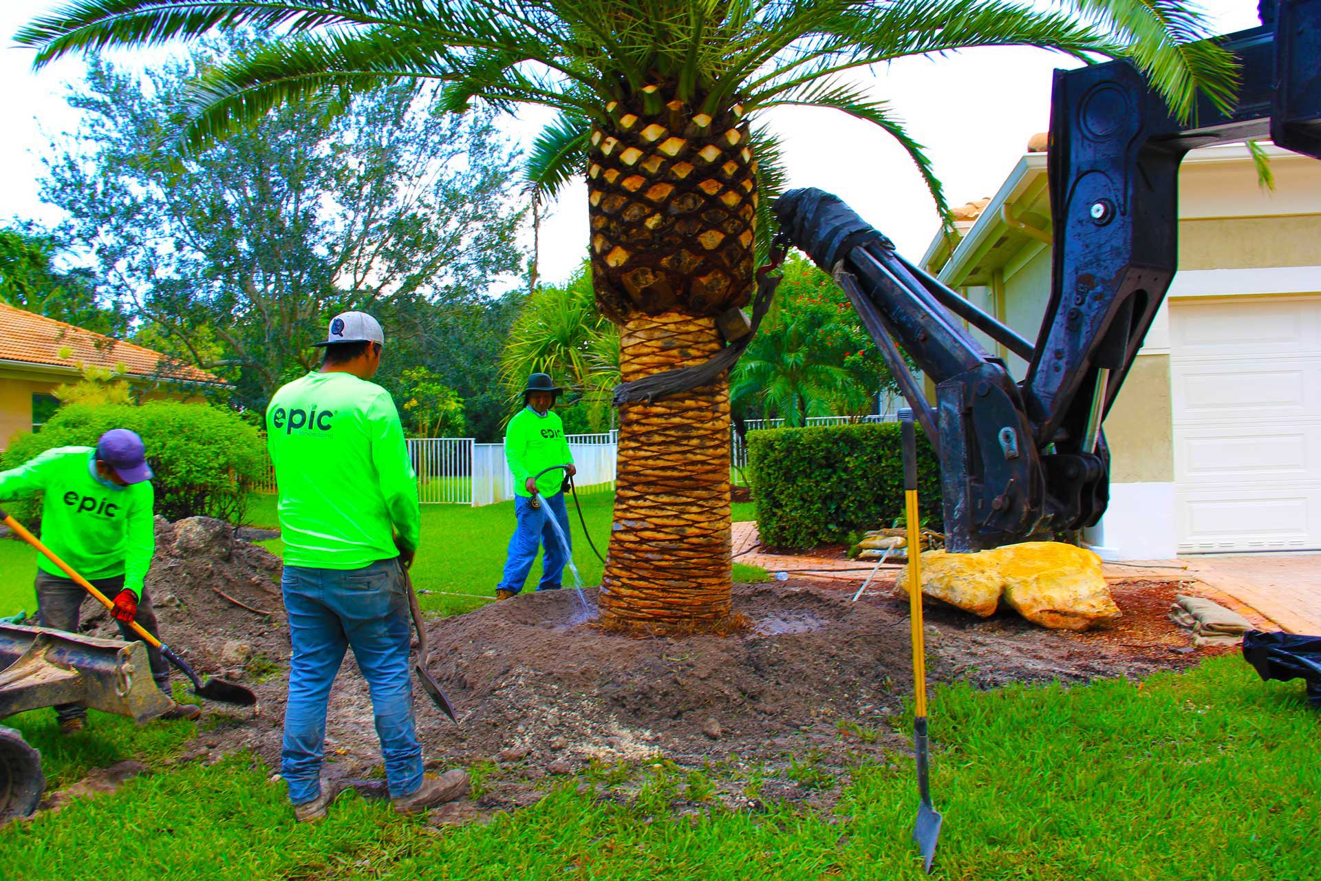 Tree Trimming - EPIC Landscaping