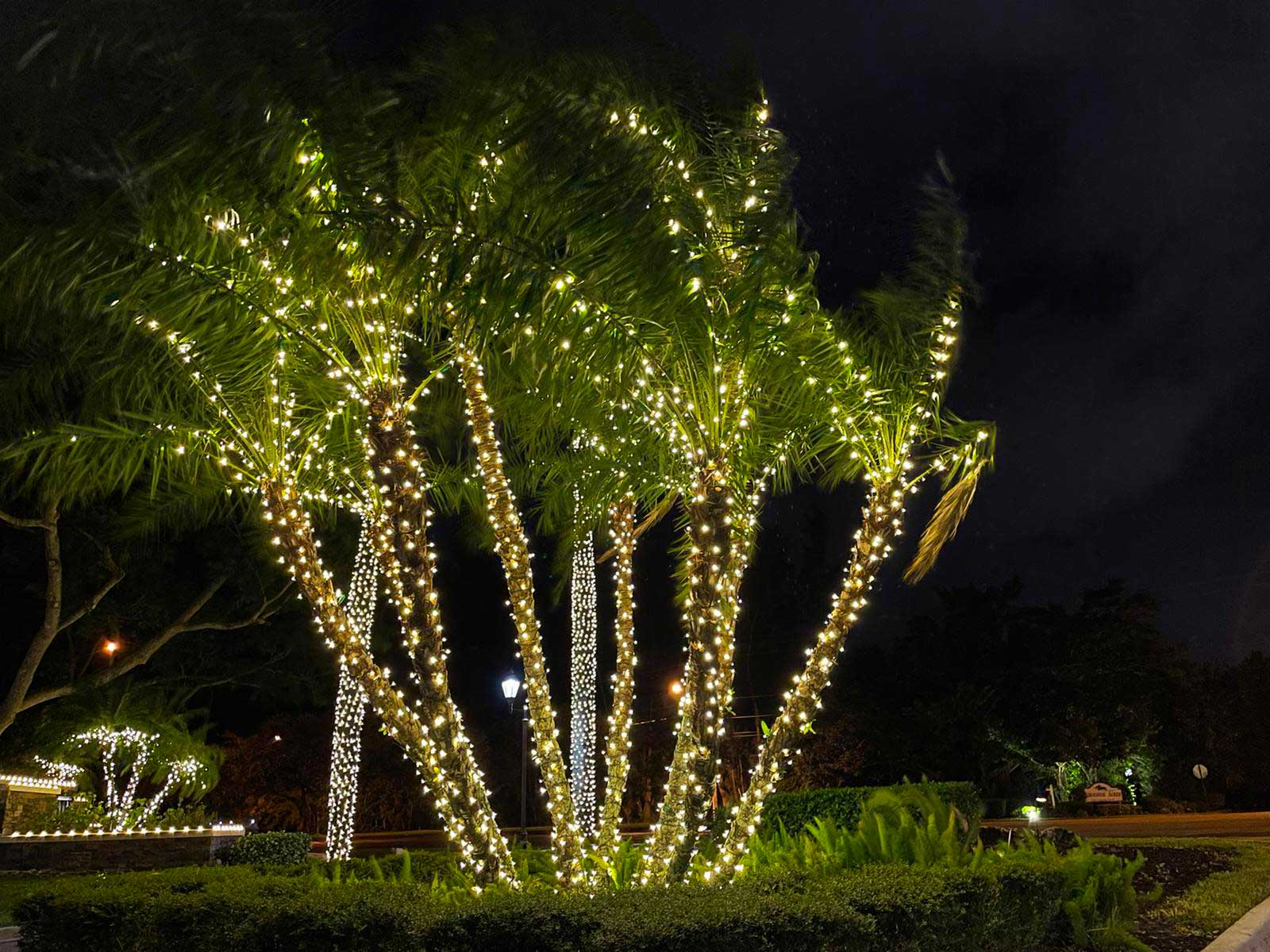 Lights - EPIC Landscaping