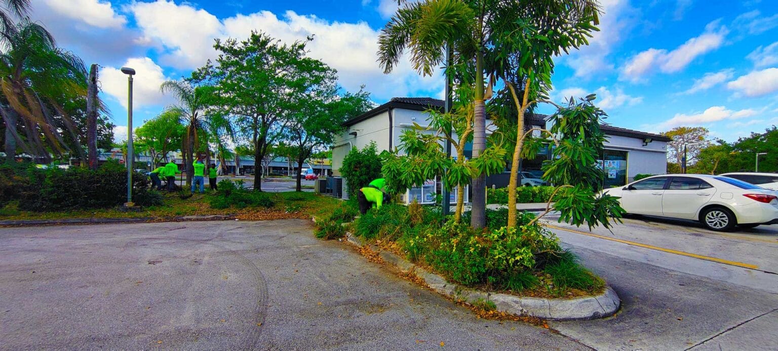 Lawn Service - EPIC Landscaping