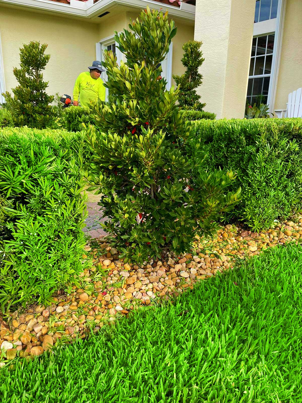 Lawn Service - EPIC Landscaping