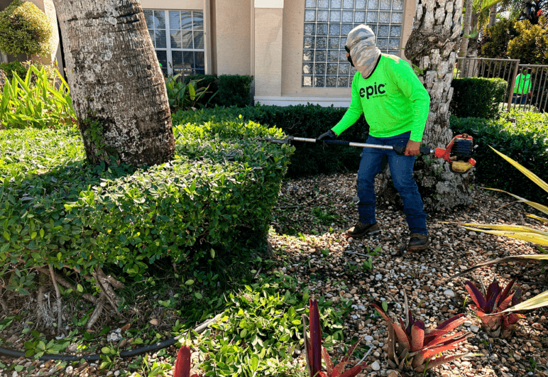 Lawn Service - EPIC Landscaping