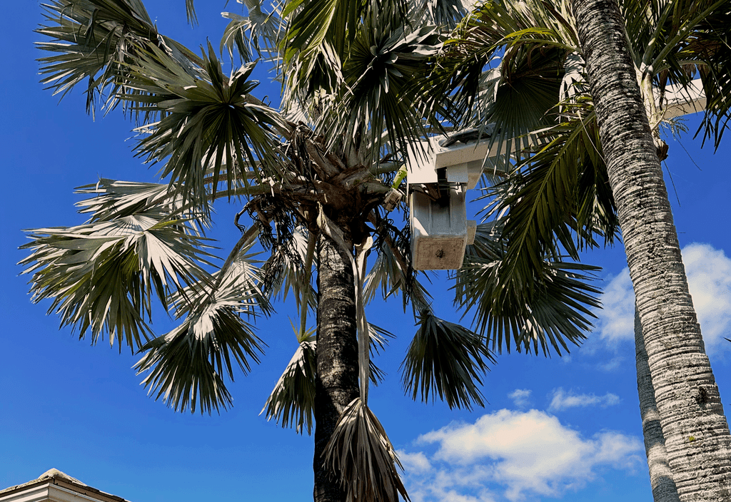 Gallery - EPIC Landscaping