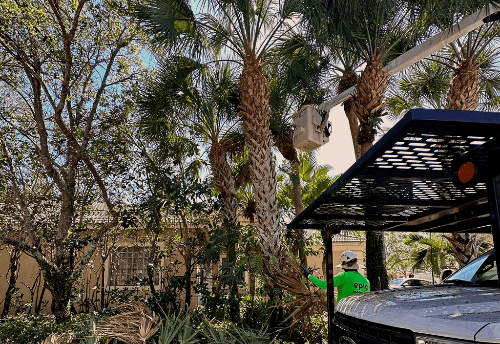 Gallery - EPIC Landscaping