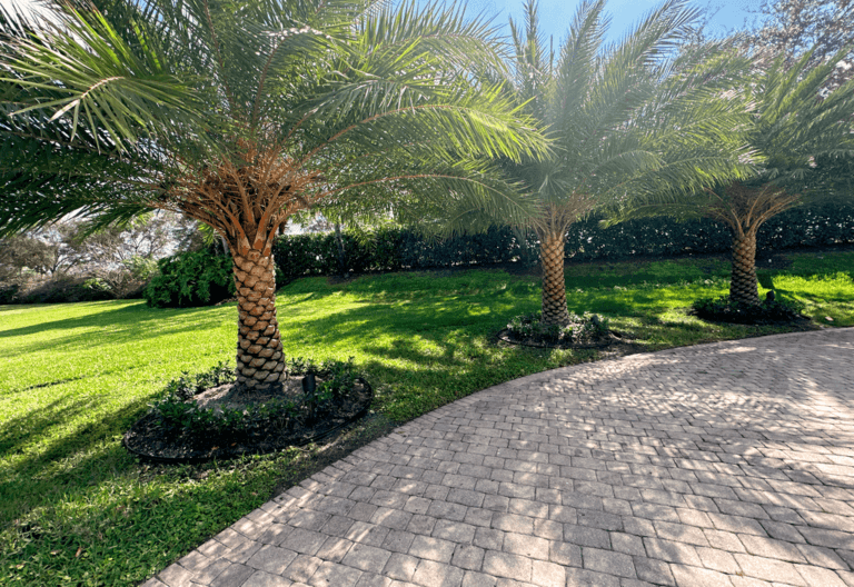 Home - EPIC Landscaping