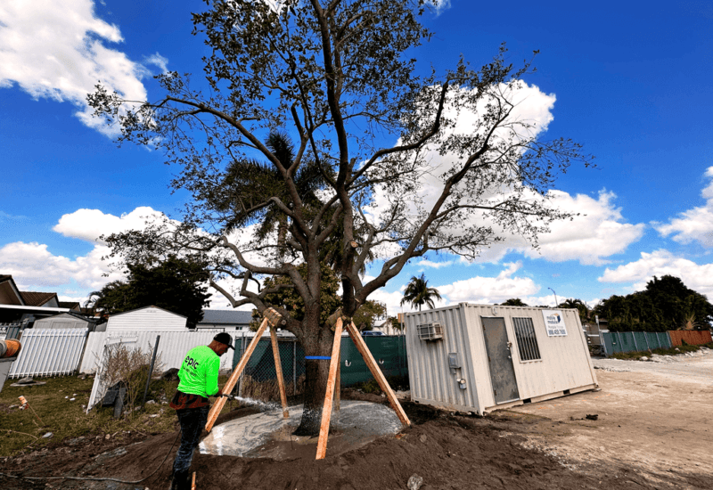 Home - EPIC Landscaping