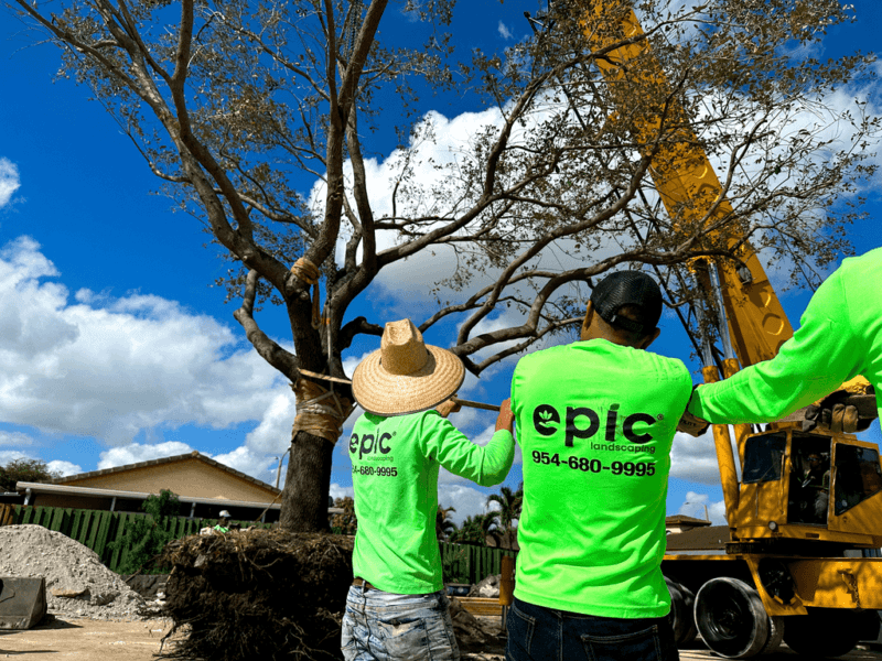 Home - EPIC Landscaping