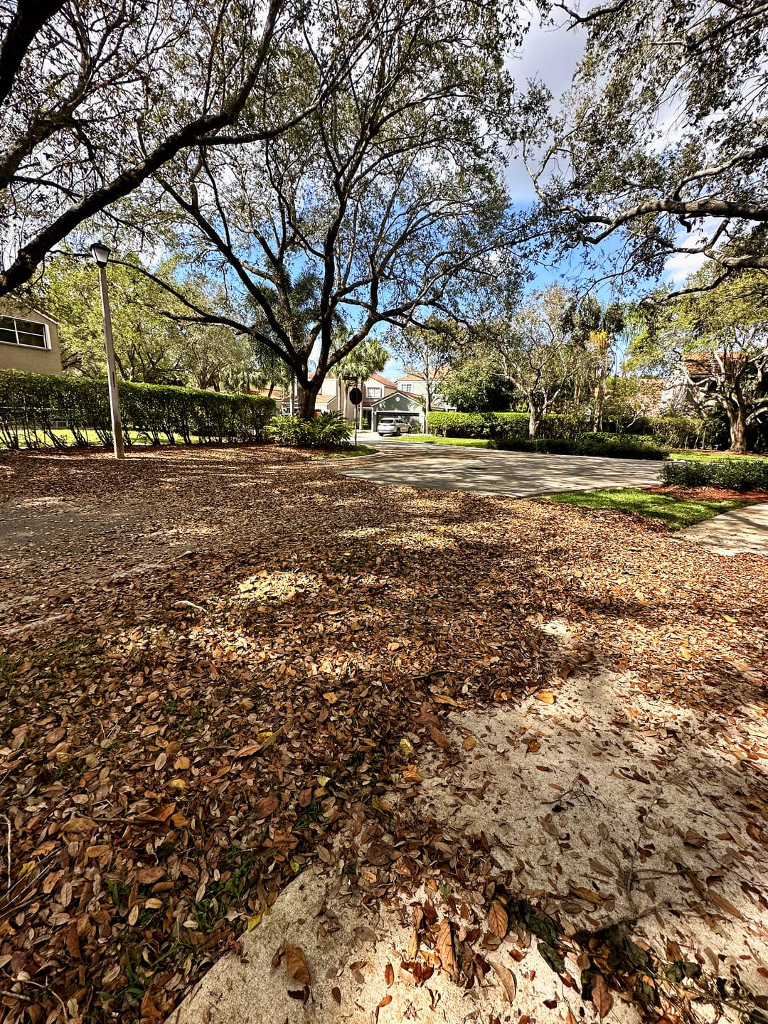 Lawn Service - EPIC Landscaping