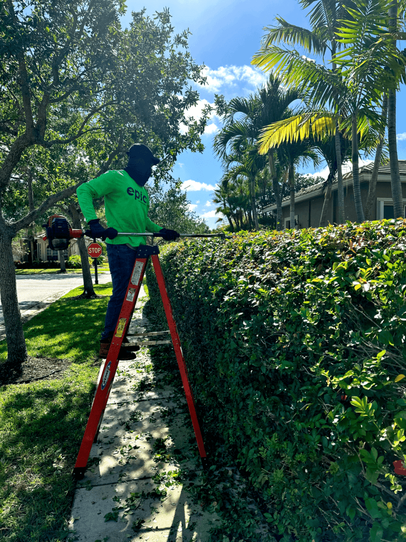 Lawn Service - EPIC Landscaping