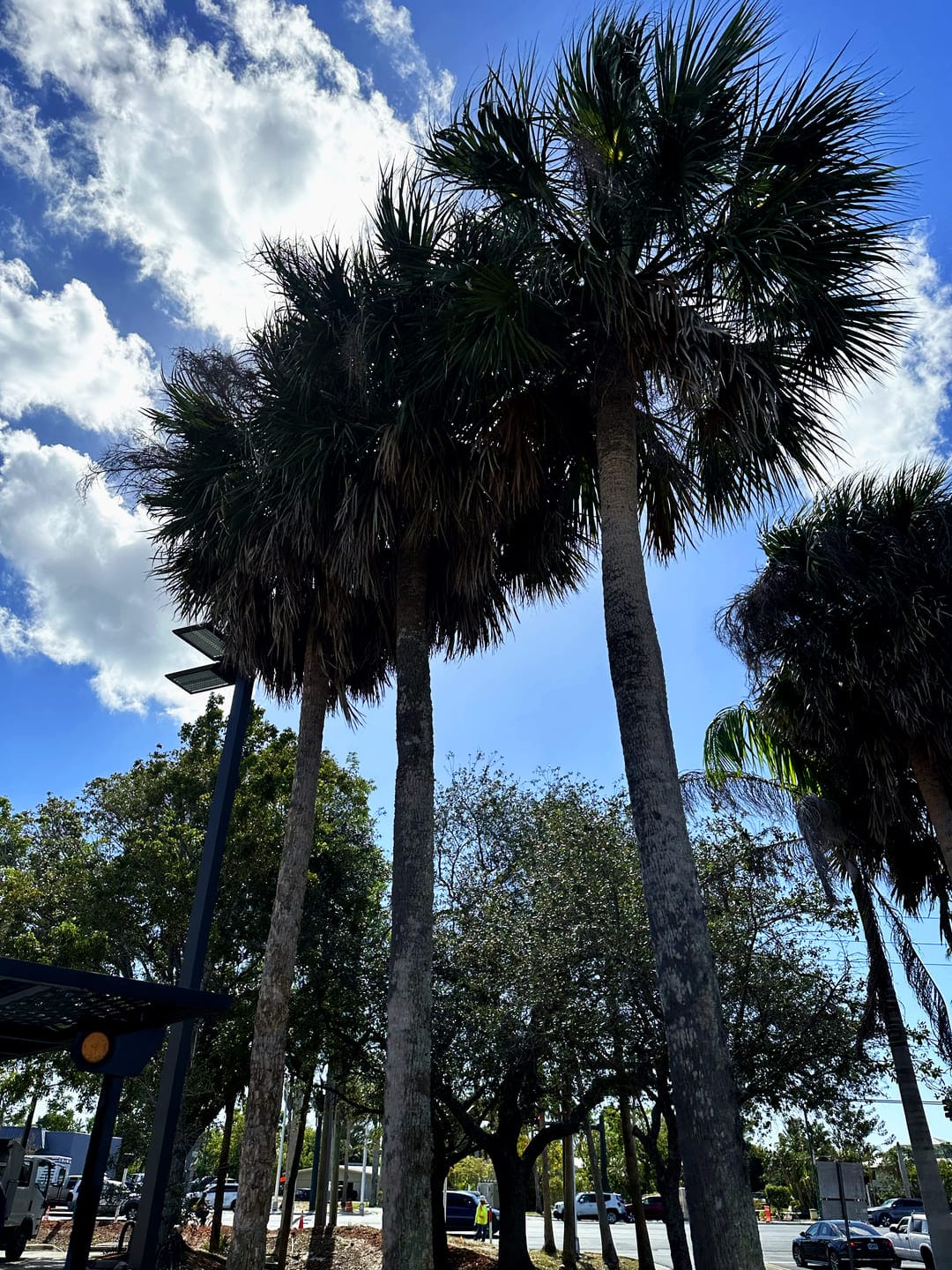 Gallery - EPIC Landscaping