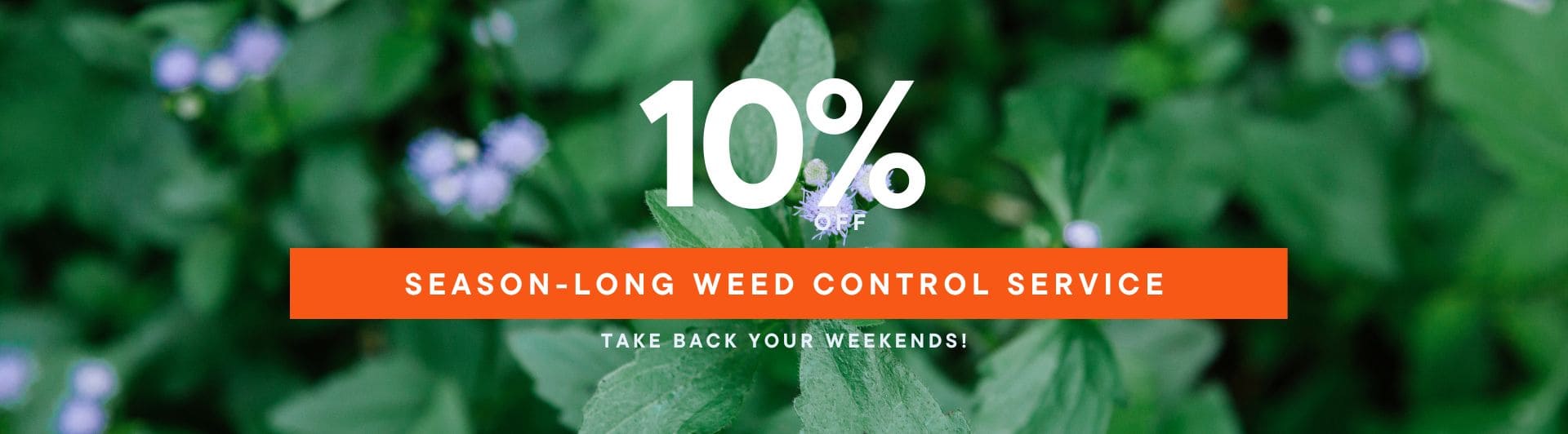 Home - EPIC Landscaping