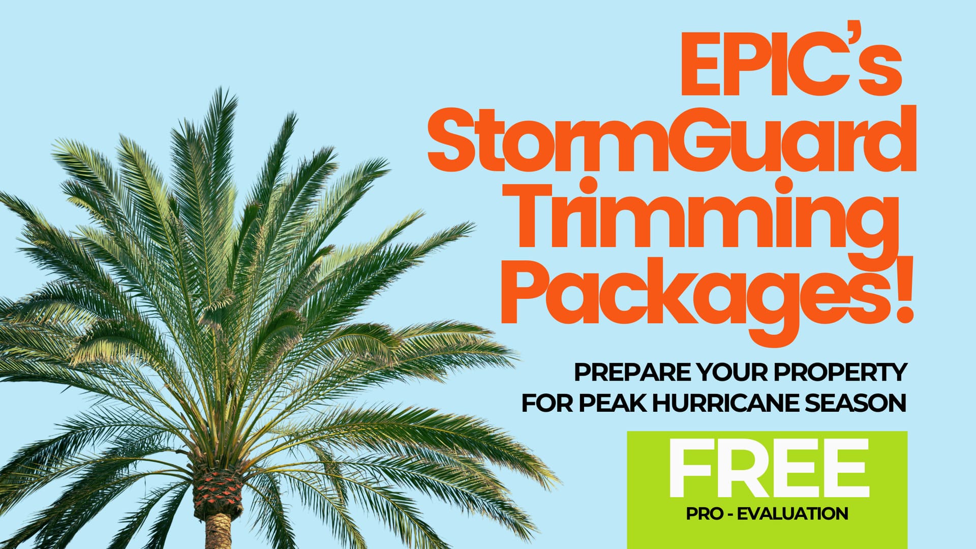 July Gardening Tips: Create a Lush and Resilient Landscape - EPIC Landscaping