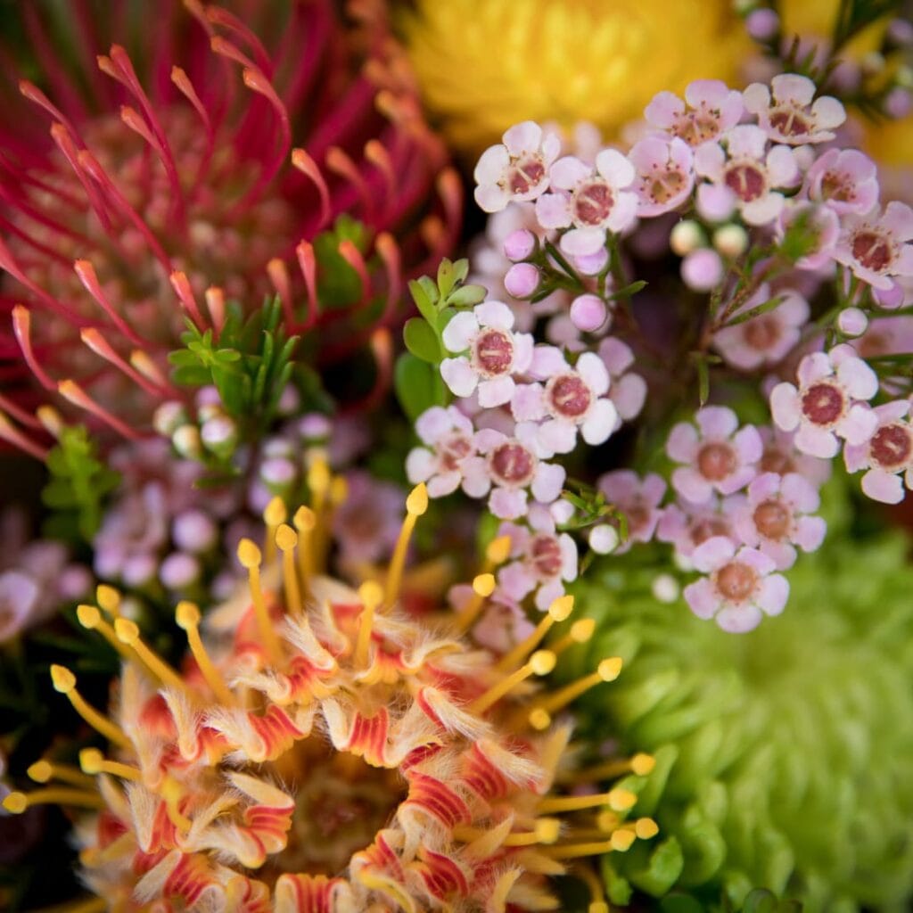 July Gardening Tips: Create a Lush and Resilient Landscape - EPIC ...