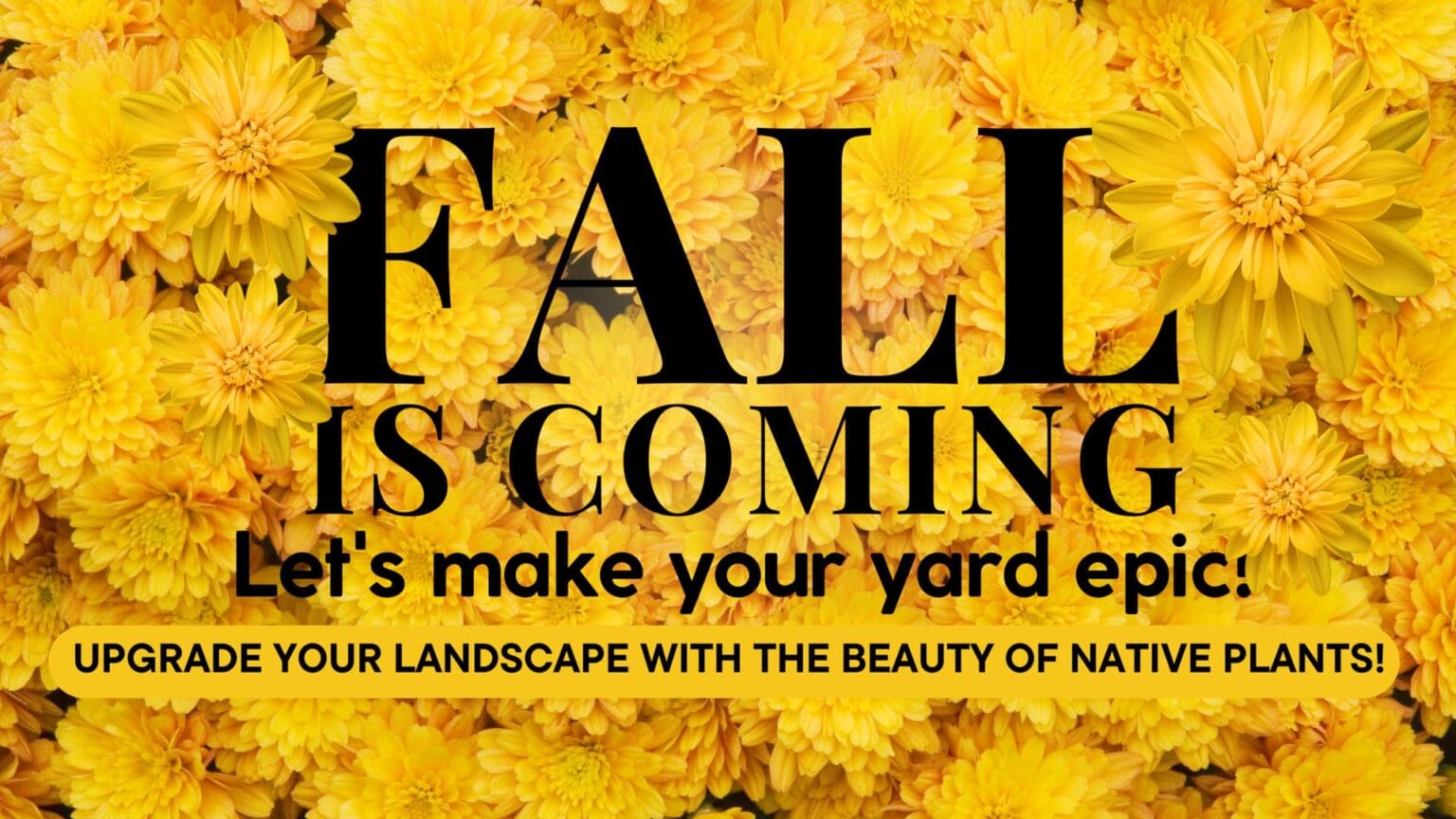 Prepare Your Yard for Fall: EPIC Planting and Irrigation Tips - EPIC ...