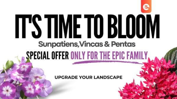 Blog - EPIC Landscaping