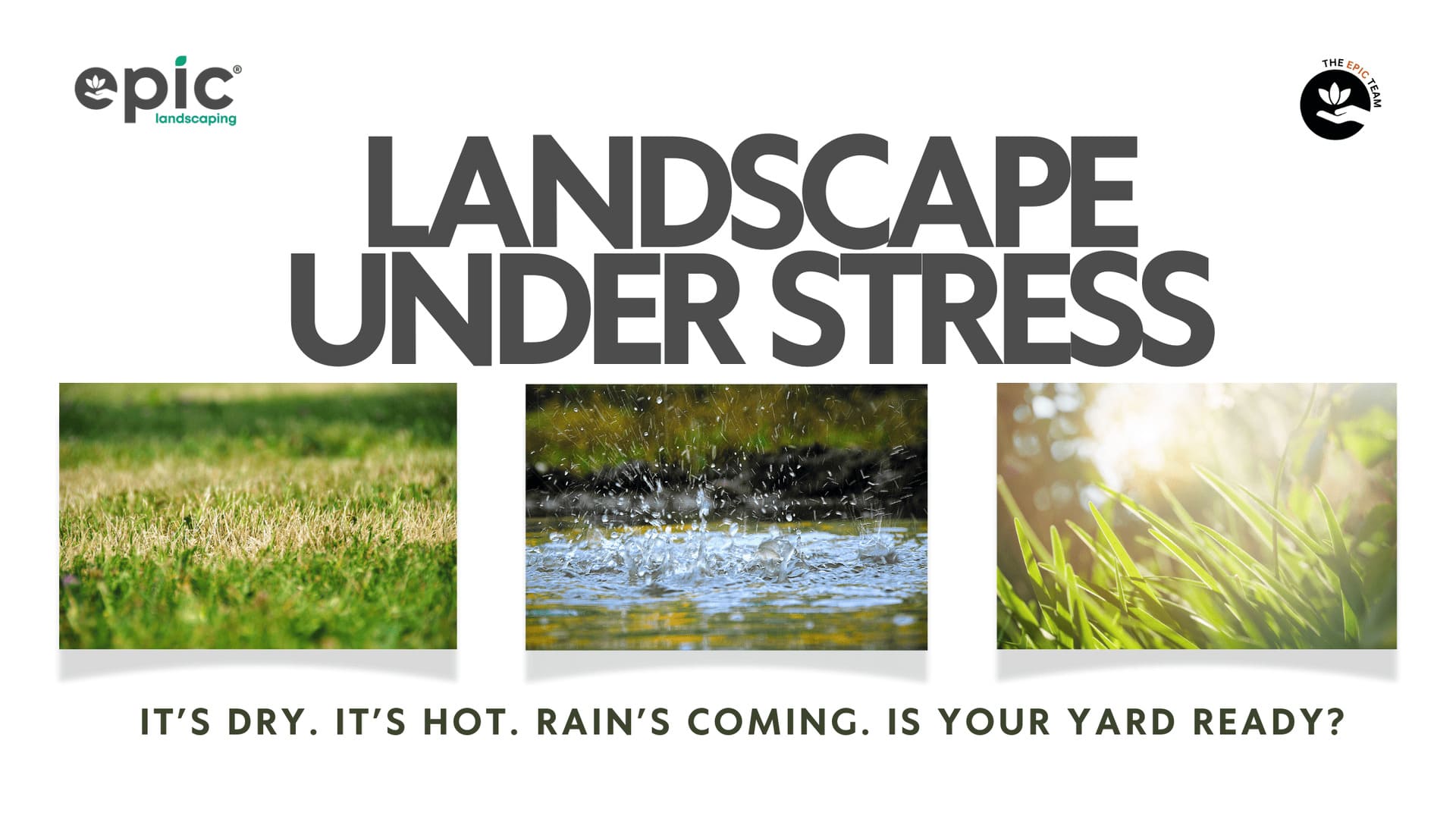 Florida Weather Is Stressing Out Your Landscape — Here’s What to Do About It - EPIC Landscaping