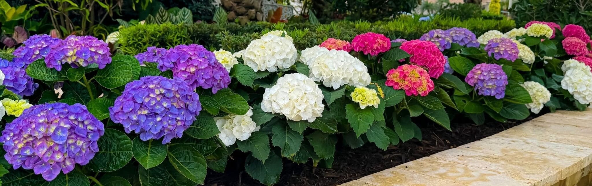 Home - EPIC Landscaping