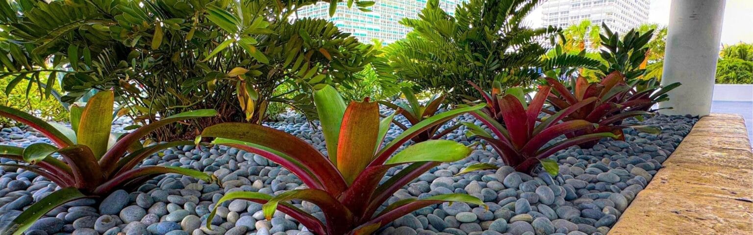 Home - EPIC Landscaping